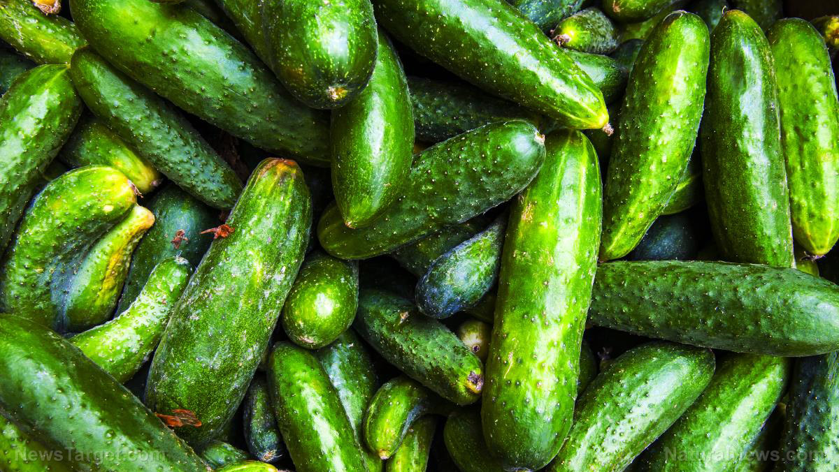 Another Class I recall: Nearly 1.5 tons of cucumbers RECALLED by the ...